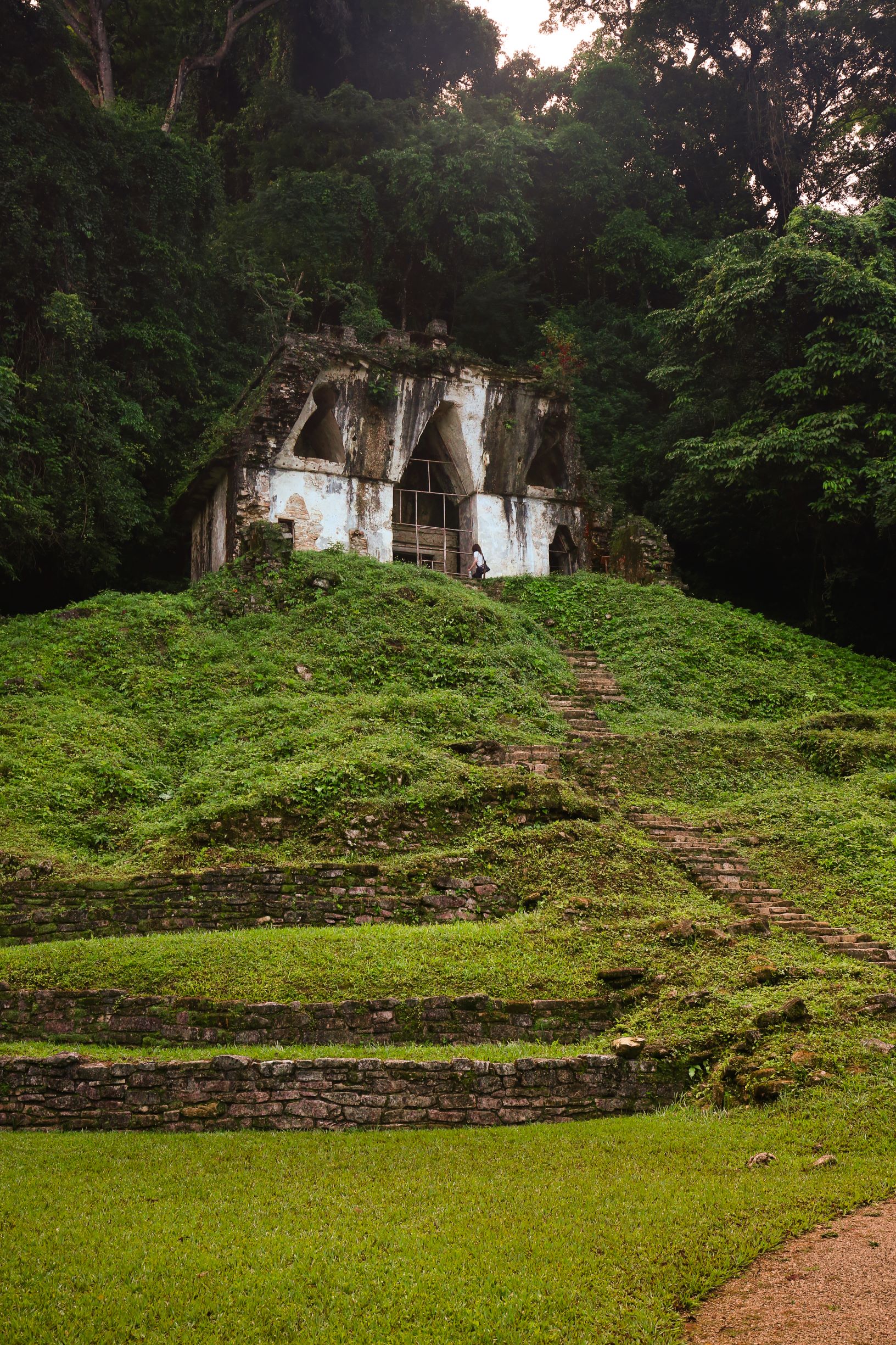 Palenque - The Maya City Lost to the Jungle